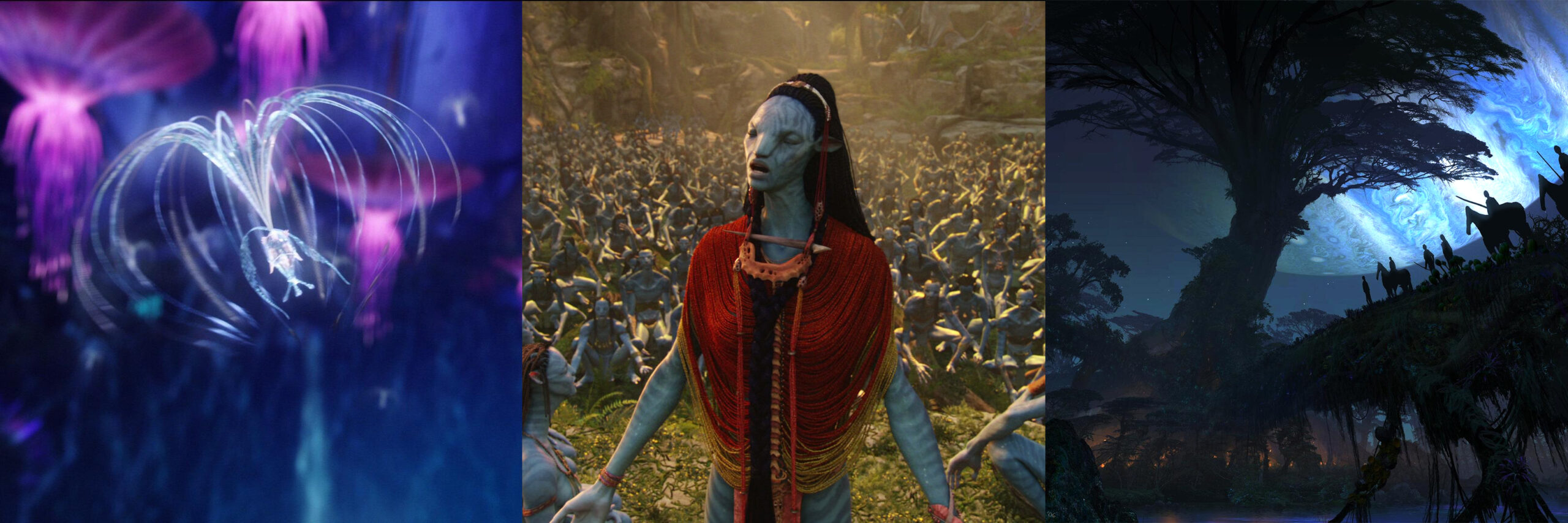 Music Theory - Pandora and the Na'vi